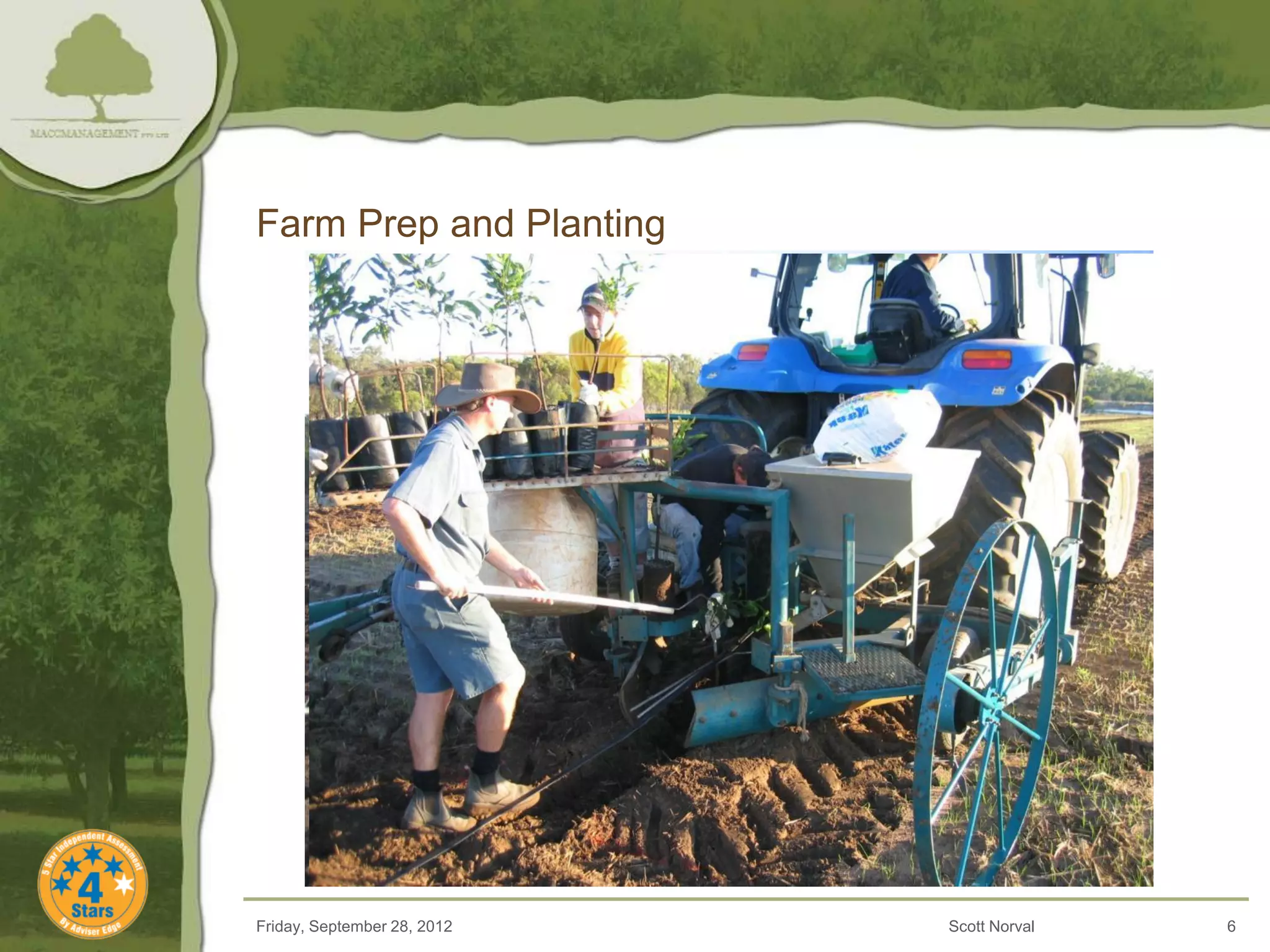 Canopy management young tree canopy management – a broad acre ...