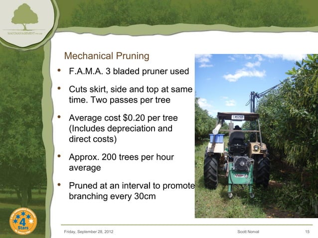 Canopy management young tree canopy management – a broad acre ...