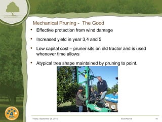 Canopy management young tree canopy management – a broad acre ...