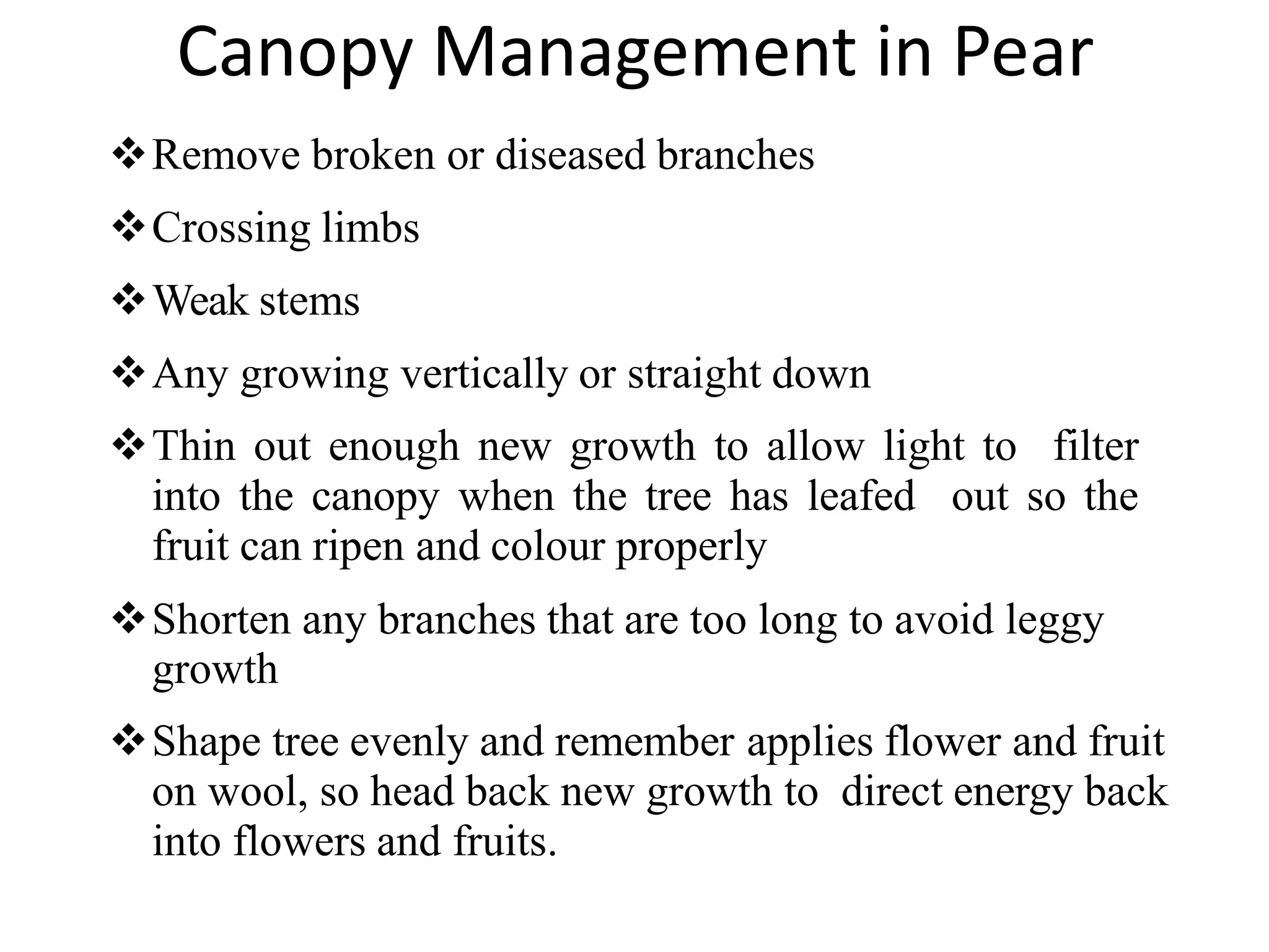 Canopy management and Rejuvenation in fruit crops.pptx