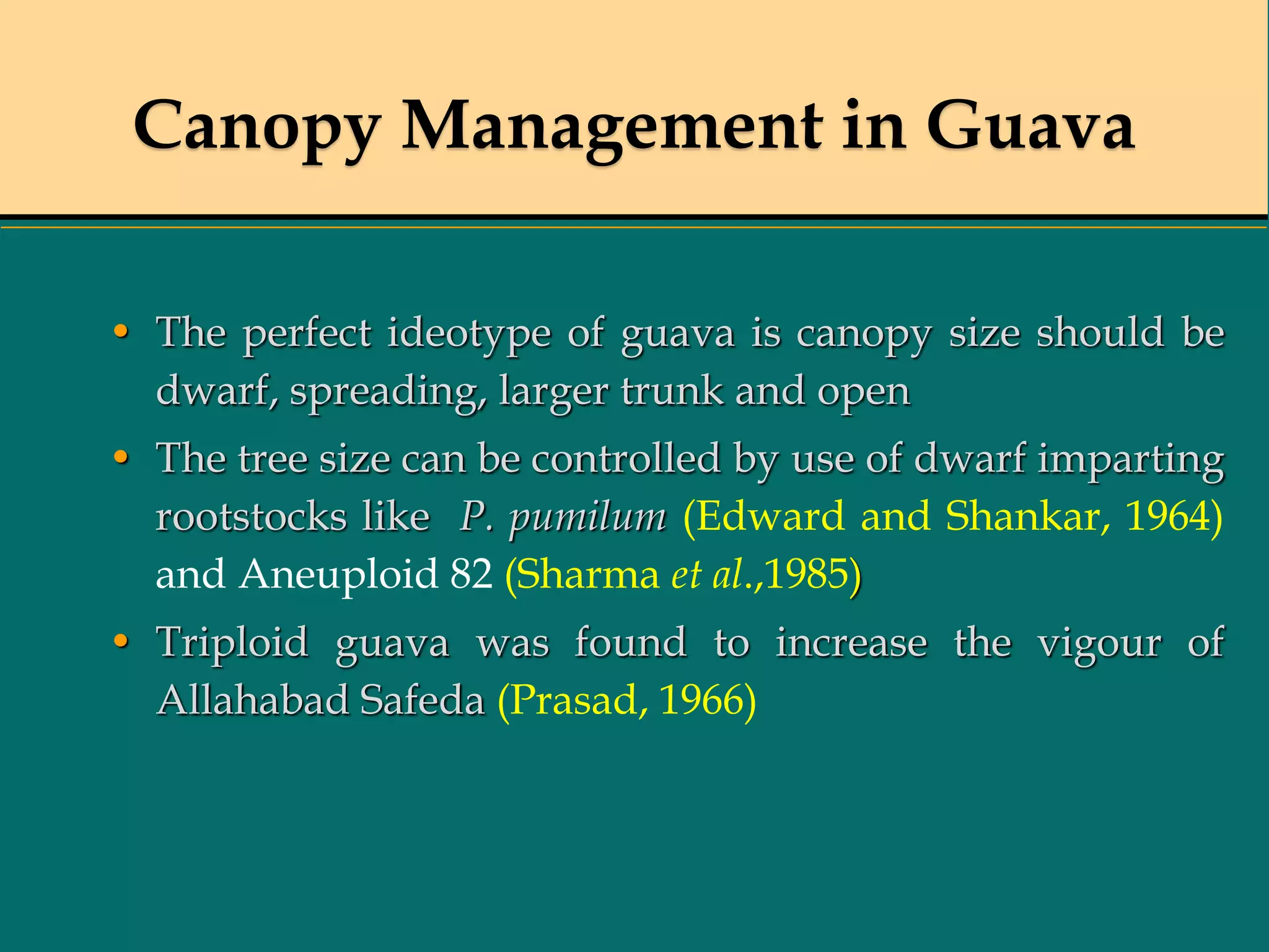 CANOPY MANAGEMENT IN FRUIT CROPS.ppt