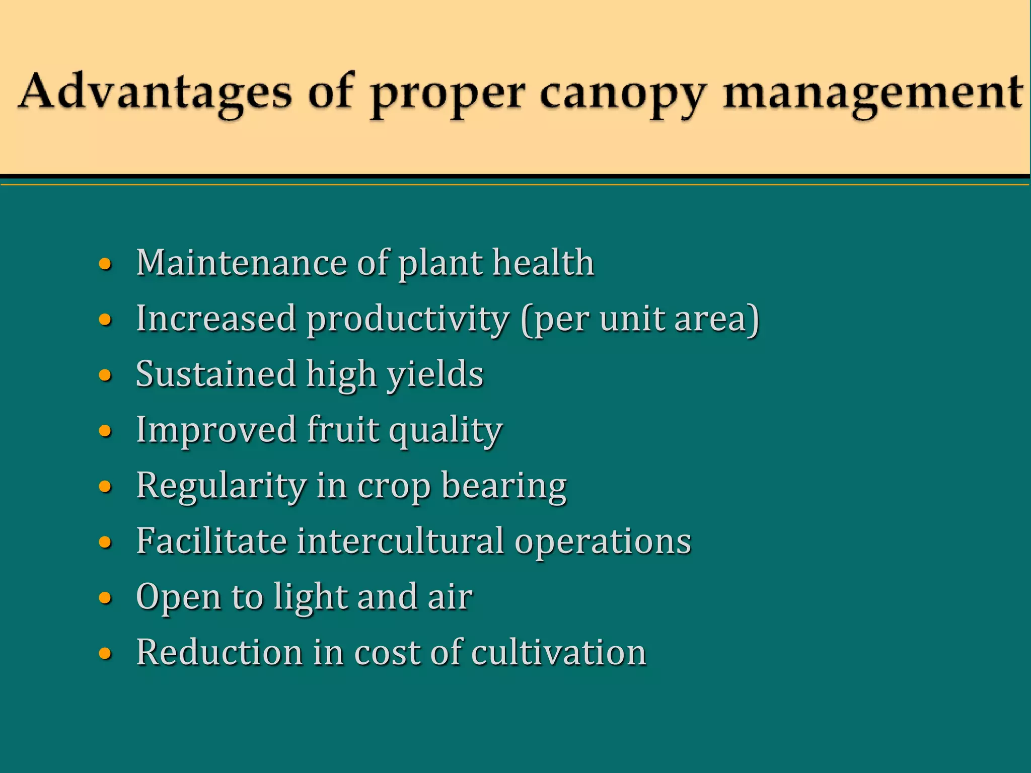 CANOPY MANAGEMENT IN FRUIT CROPS.ppt
