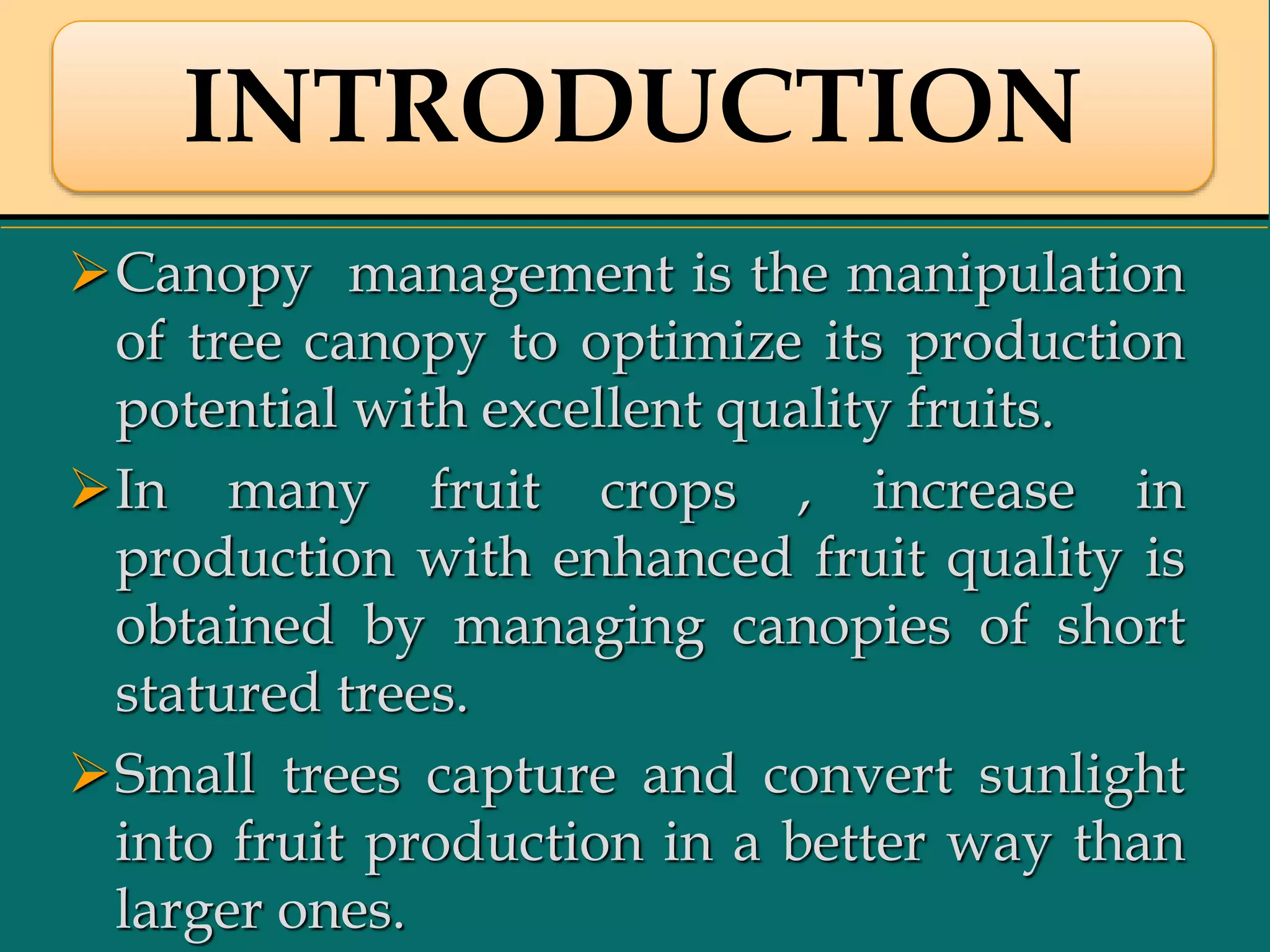 CANOPY MANAGEMENT IN FRUIT CROPS.ppt