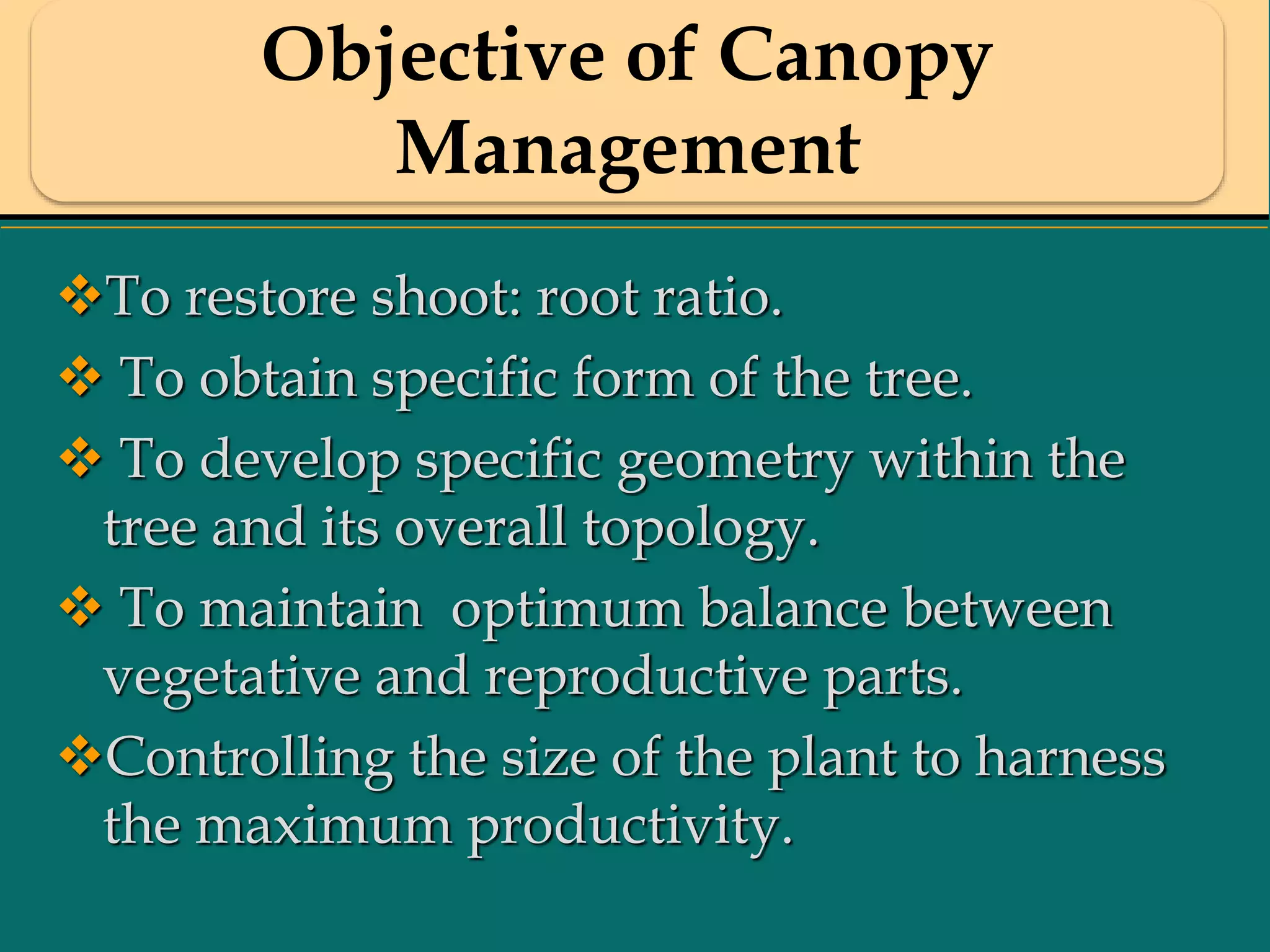 CANOPY MANAGEMENT IN FRUIT CROPS.ppt