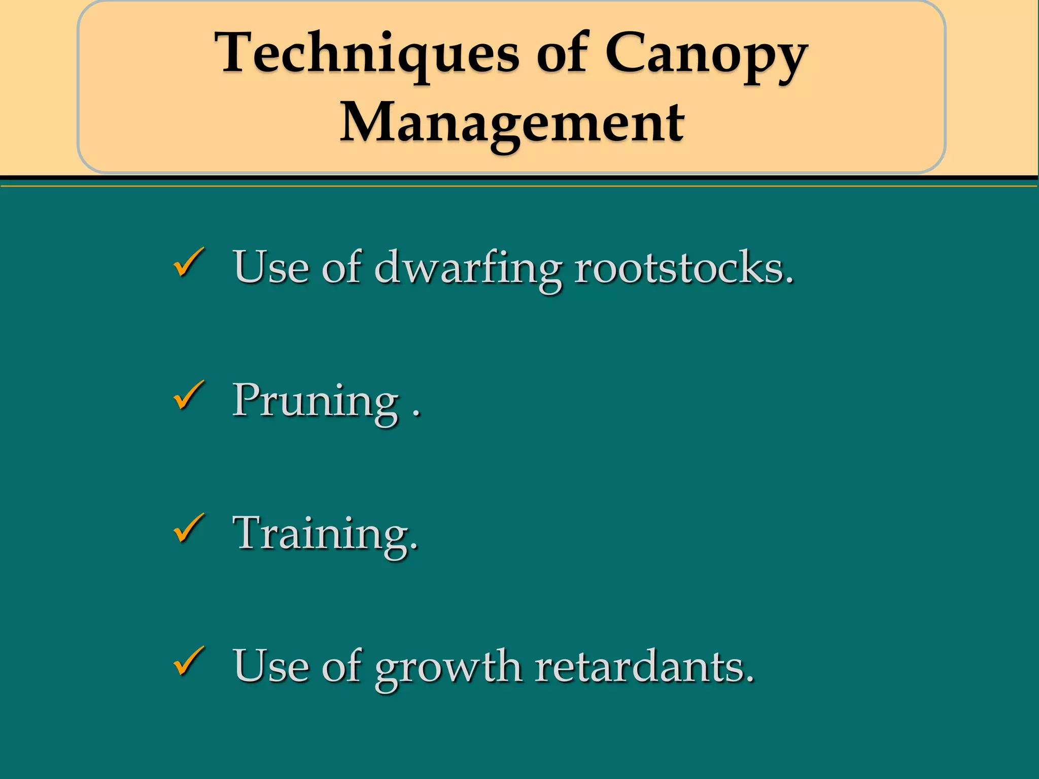 CANOPY MANAGEMENT IN FRUIT CROPS.ppt