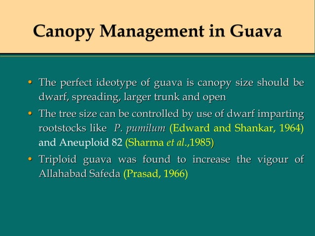 CANOPY MANAGEMENT IN FRUIT CROPS.ppt