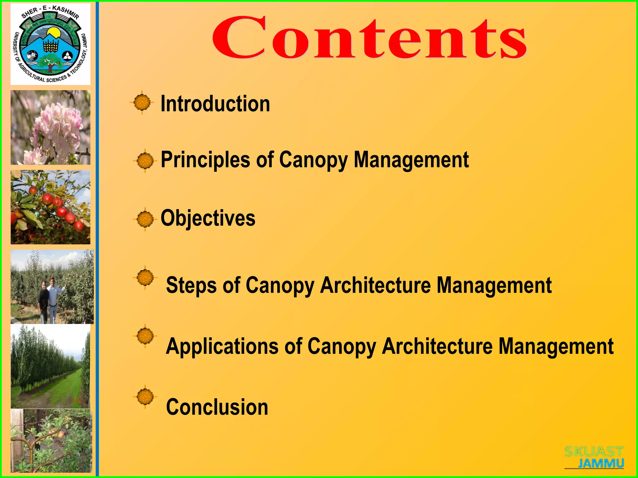 Canopy management in fruits | PPT