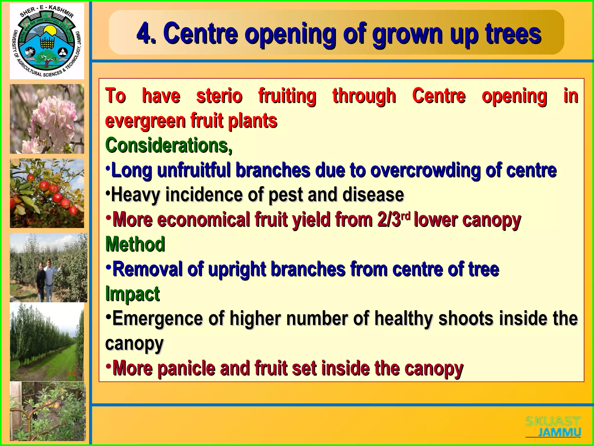 Canopy management in fruits | PPT