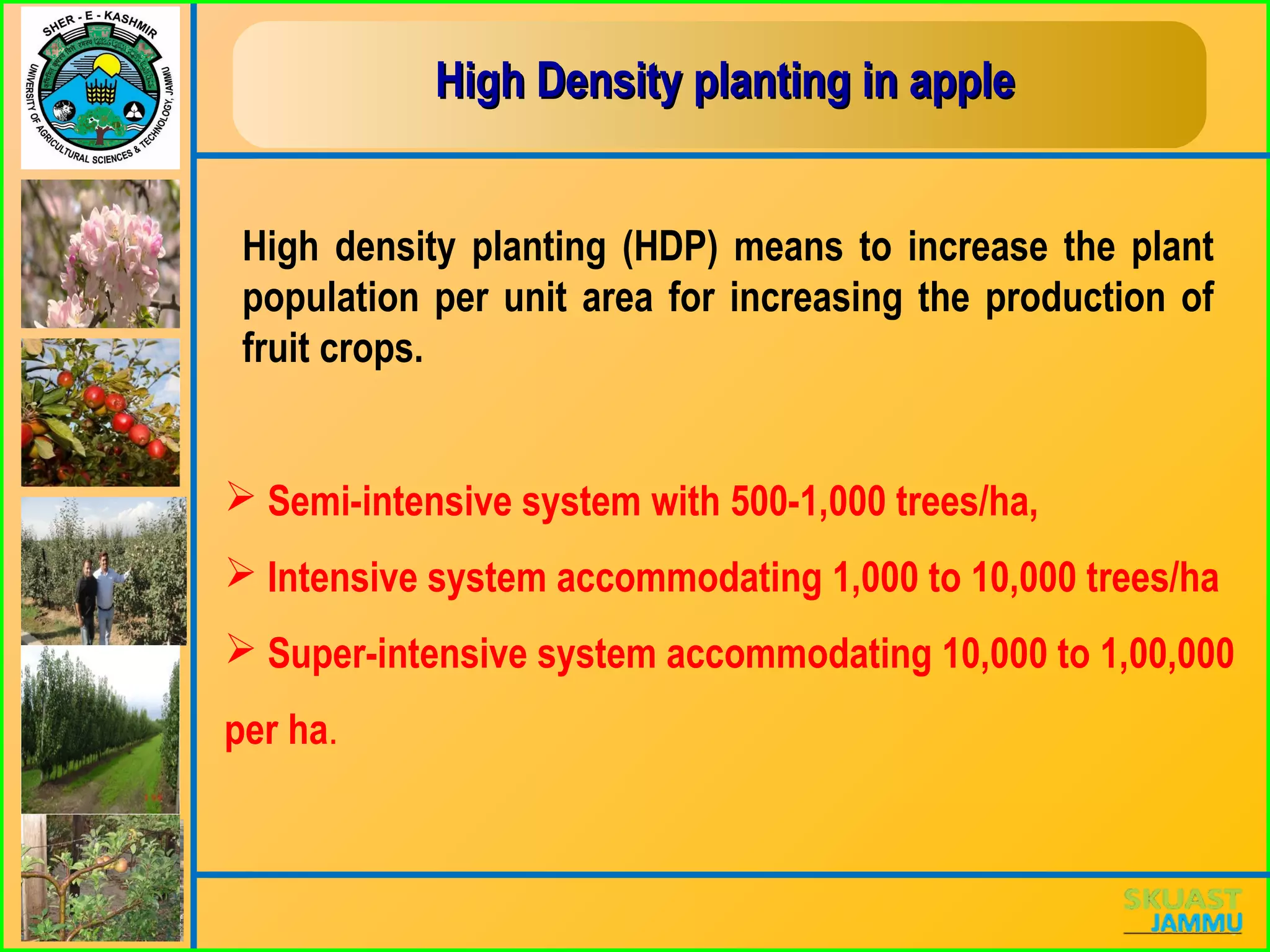 Canopy management in fruits | PPT
