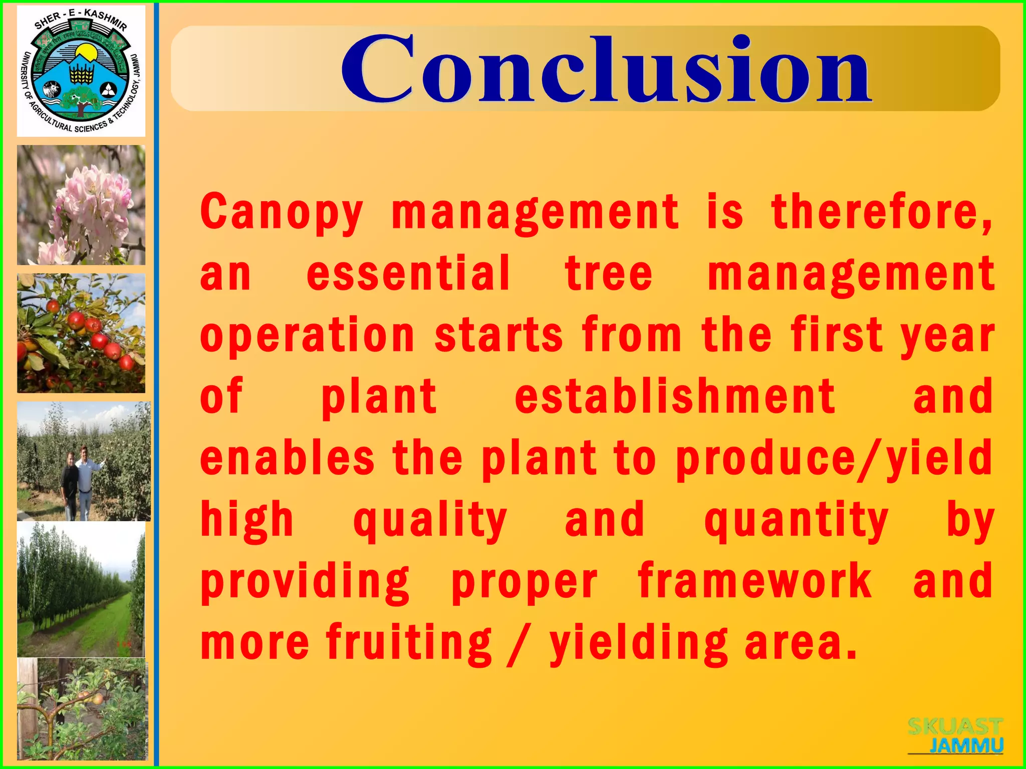 Canopy management in fruits | PPT