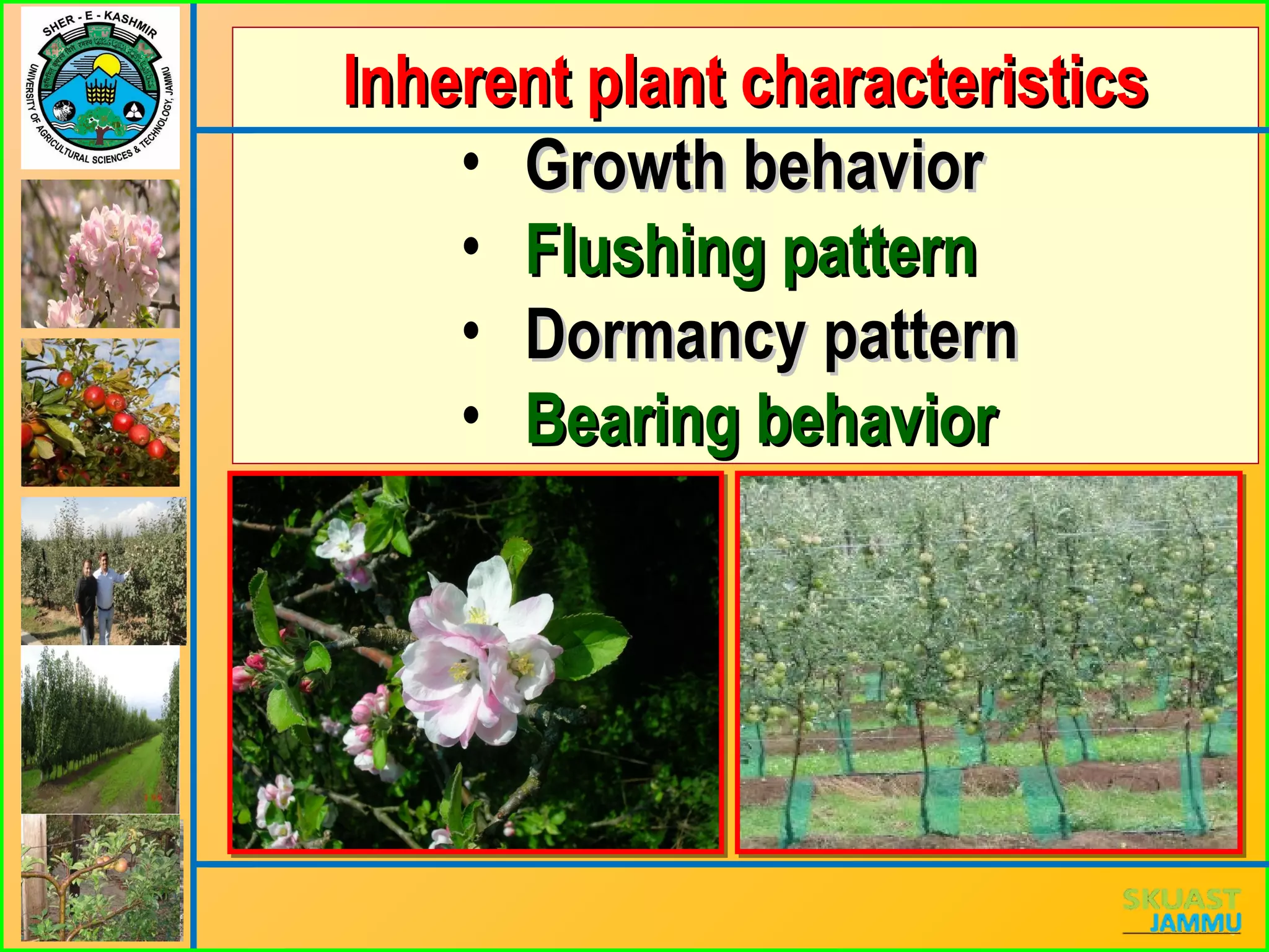 Canopy management in fruits | PPT
