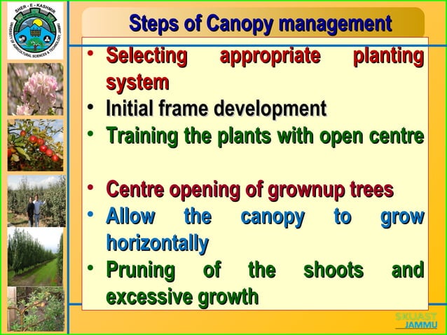Canopy management in fruits | PPT