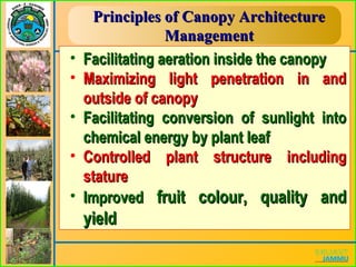 Canopy management in fruits | PPT