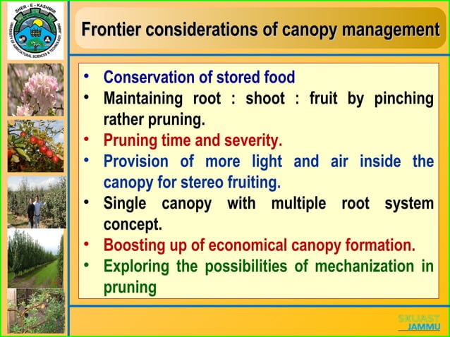 Canopy management in fruits | PPT