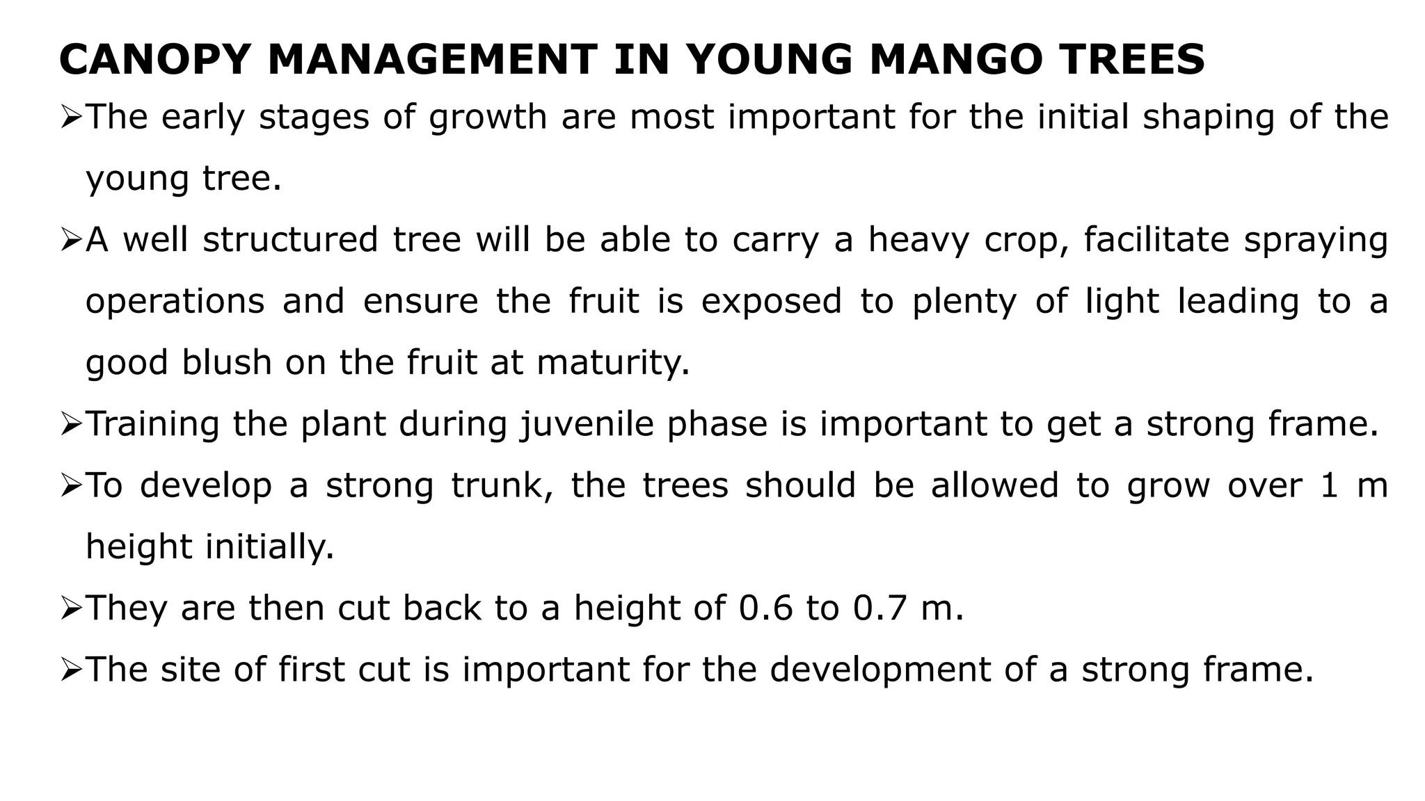 How to ma Canopy Management in Mango.pptx