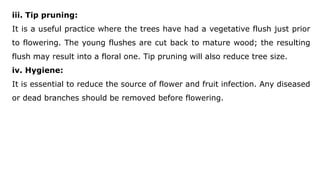 How to ma Canopy Management in Mango.pptx