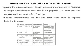 How to ma Canopy Management in Mango.pptx