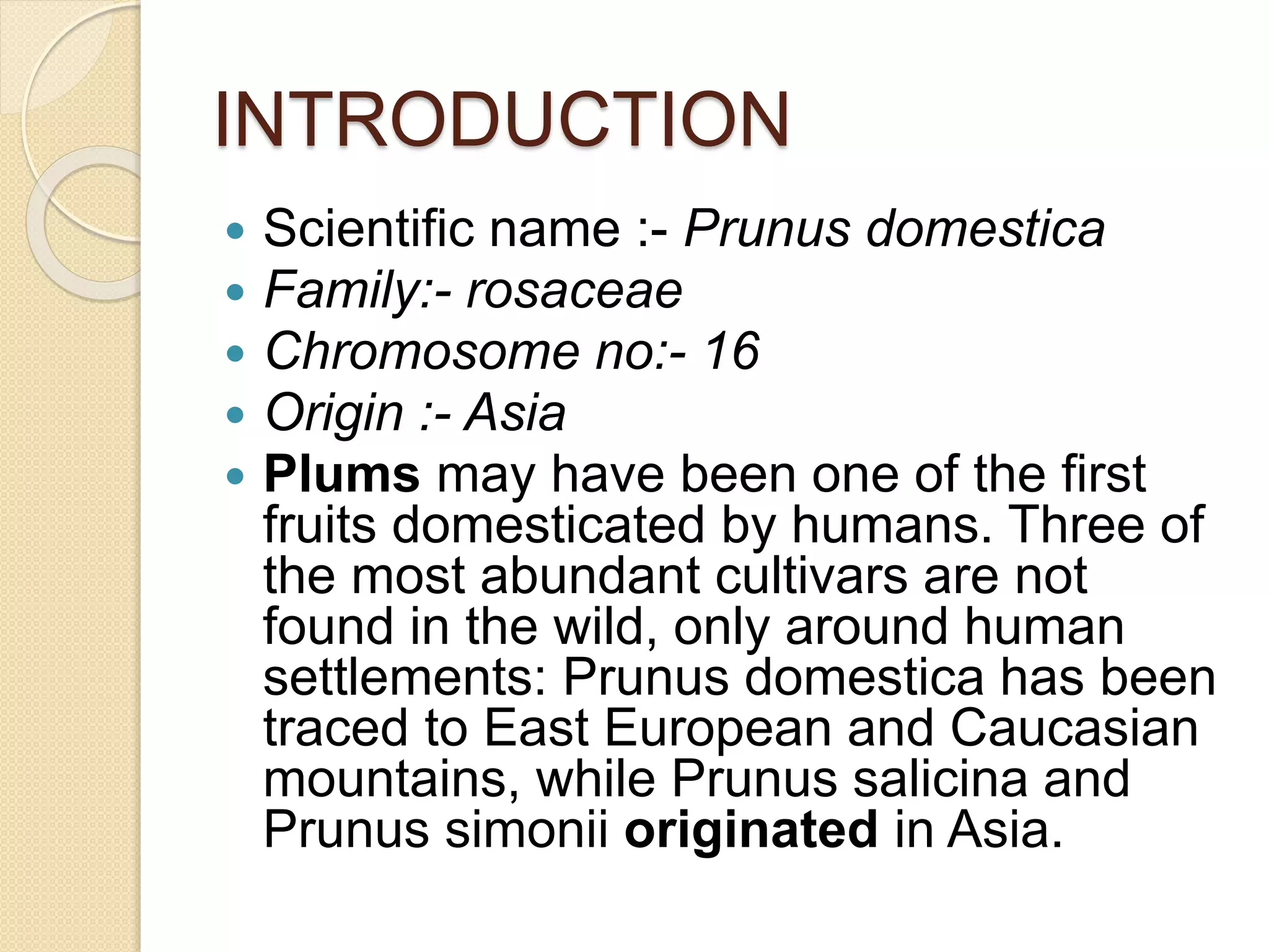 Canopy management of plum (prunus domestica) | PPTX