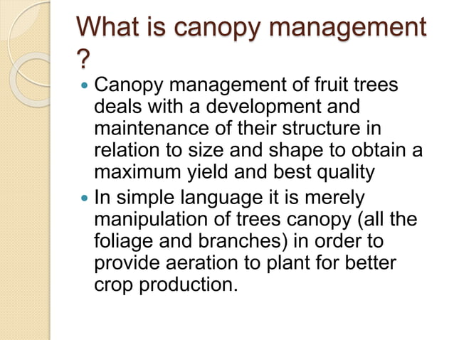 Canopy management of plum (prunus domestica) | PPTX