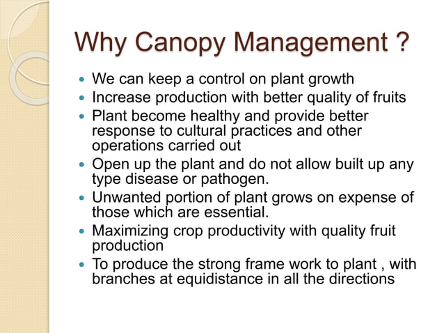 Canopy management of plum (prunus domestica) | PPTX