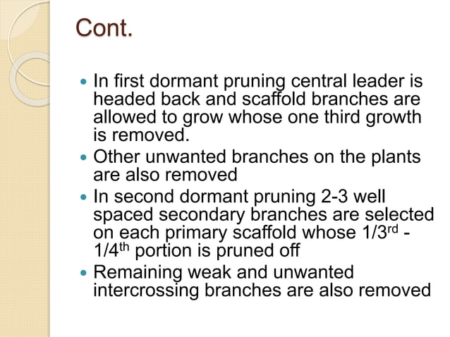 Canopy management of plum (prunus domestica) | PPTX