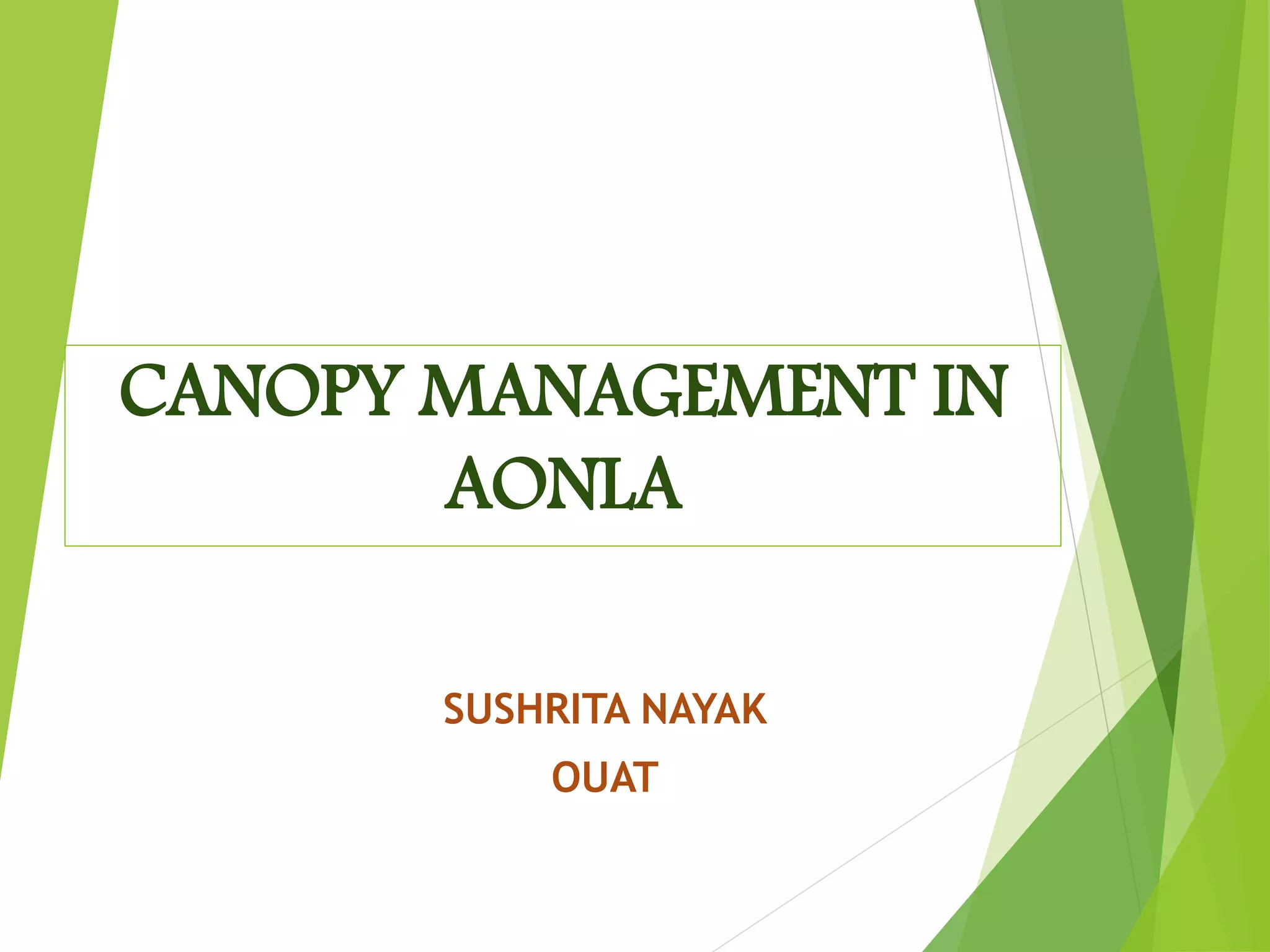 Canopy managemnt in aonla | PPTX | Gardening | Home & Garden