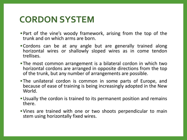 Canopy managemnt in grapes | PPTX