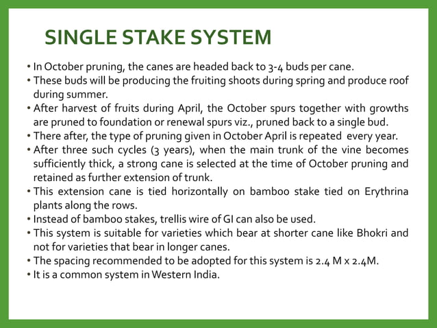 Canopy managemnt in grapes | PPTX