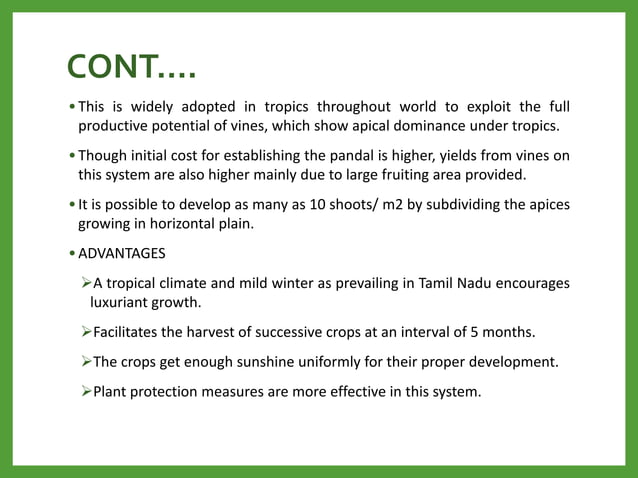 Canopy managemnt in grapes | PPTX