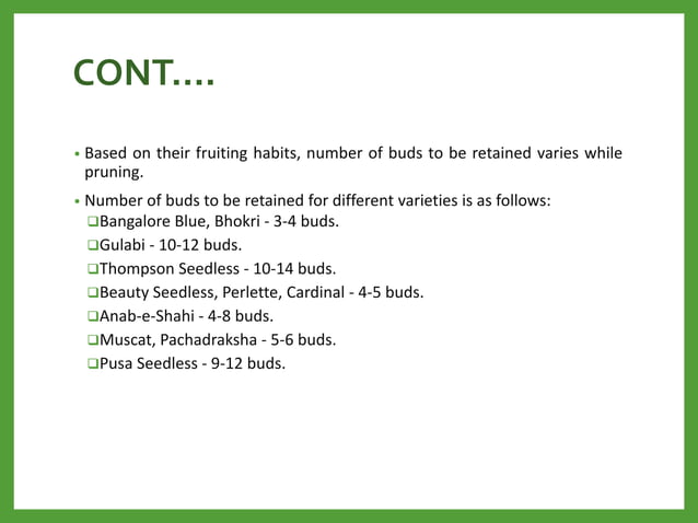 Canopy managemnt in grapes | PPTX