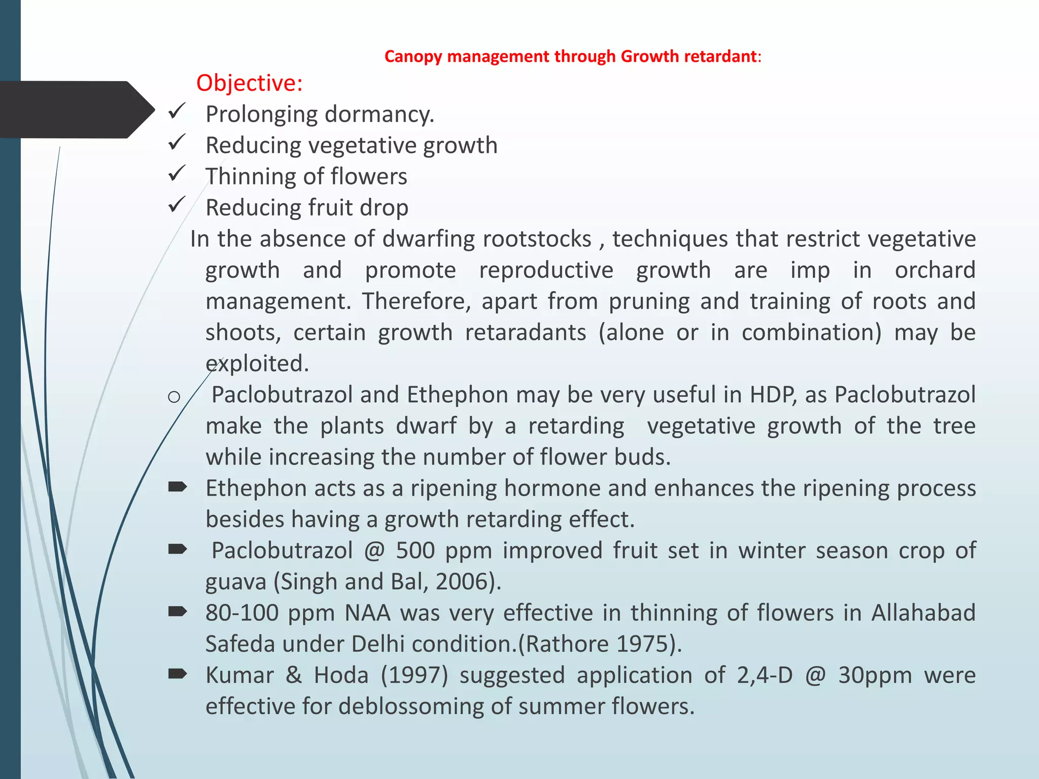 Canopy managemnt in guava | PPTX