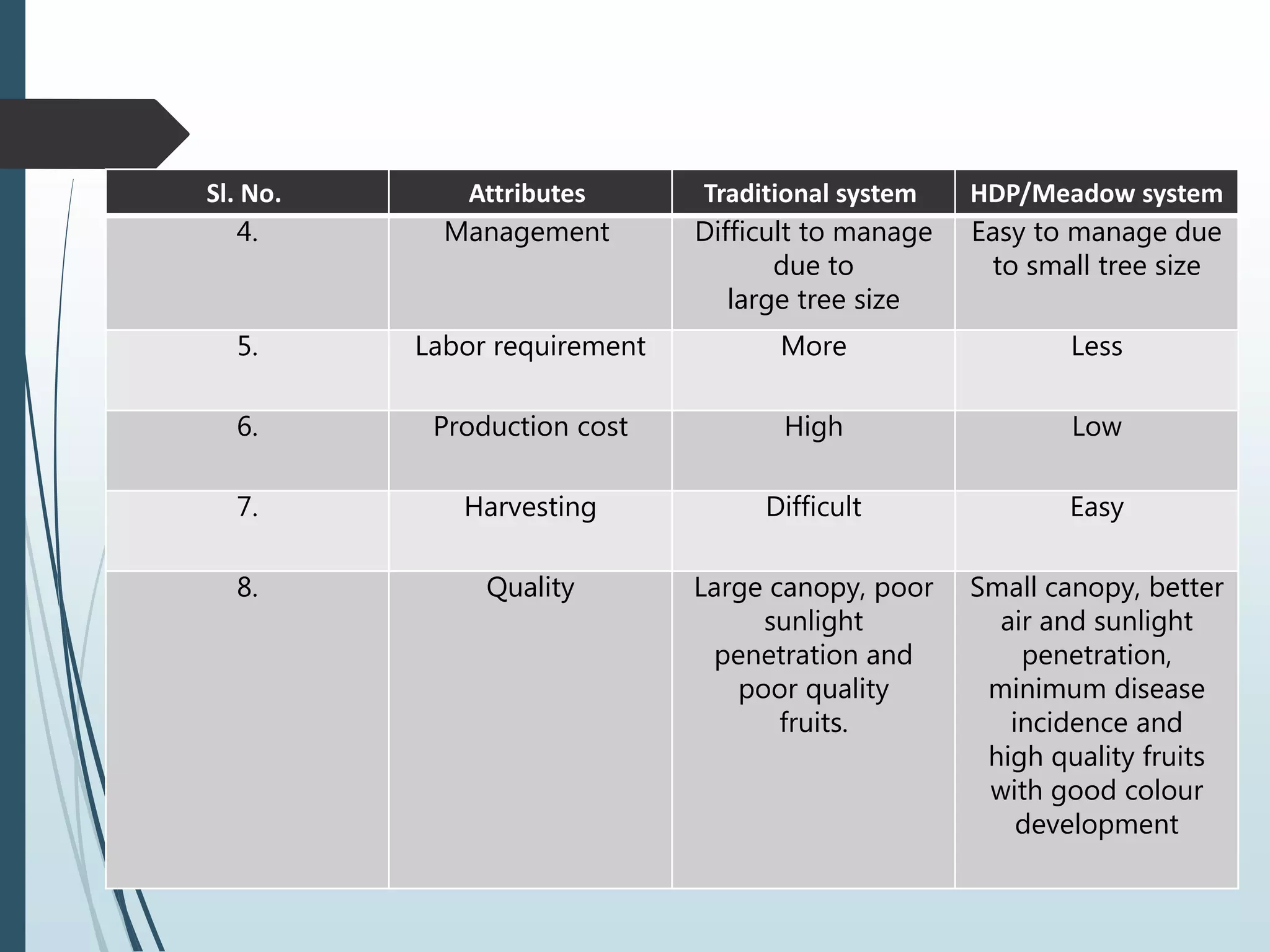 Canopy managemnt in guava | PPTX