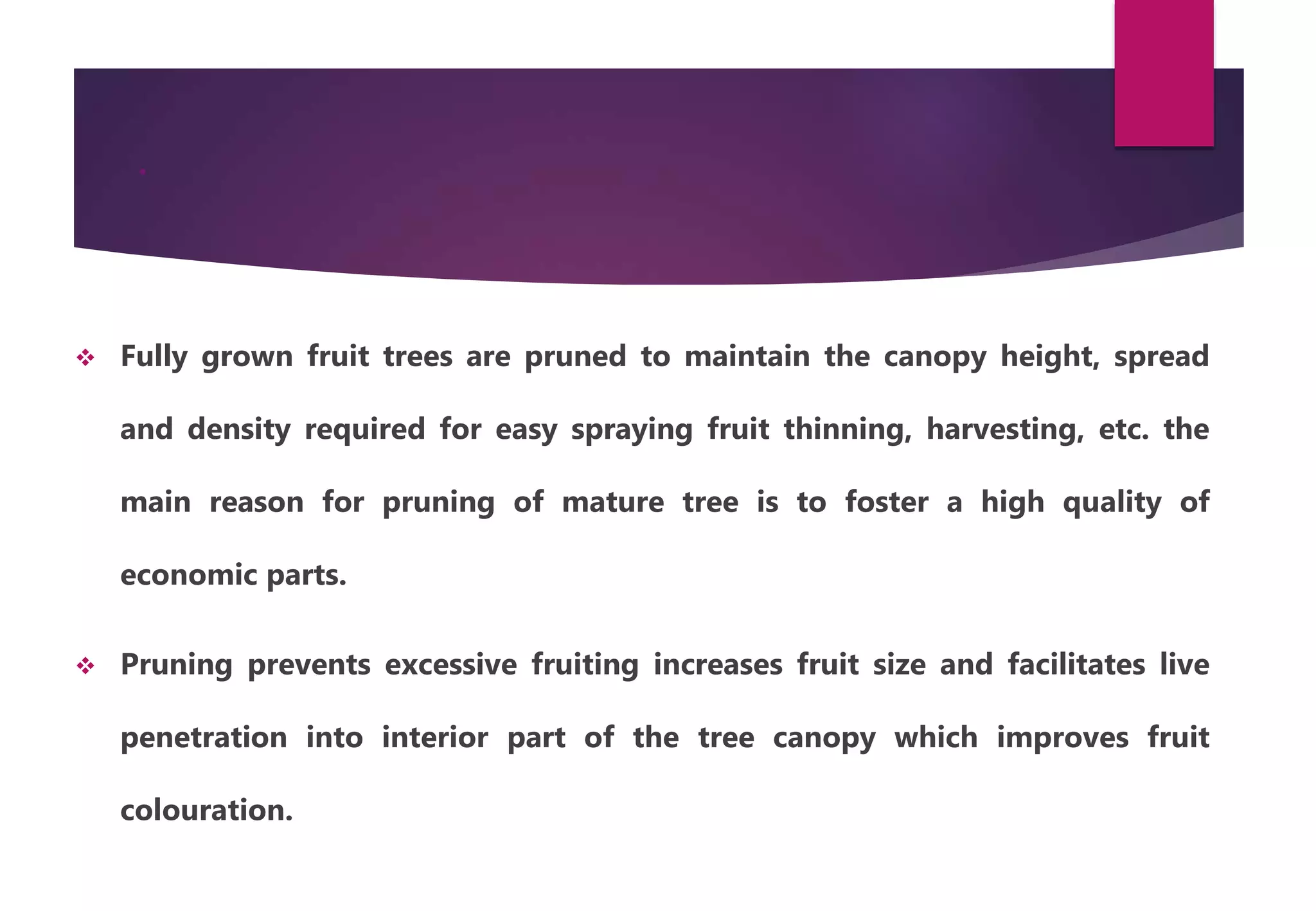 Canopy managemnt in jackfruit | PPT