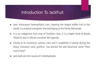 Canopy managemnt in jackfruit | PPT
