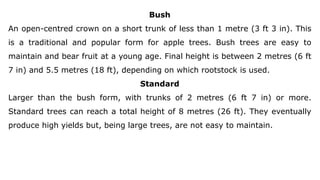 Canopy types and structures: Canopy Management.pptx