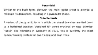 Canopy types and structures: Canopy Management.pptx