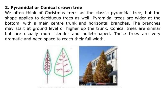 Canopy types and structures: Canopy Management.pptx | Gardening | Home ...