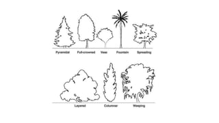 Canopy types and structures: Canopy Management.pptx | Gardening | Home ...