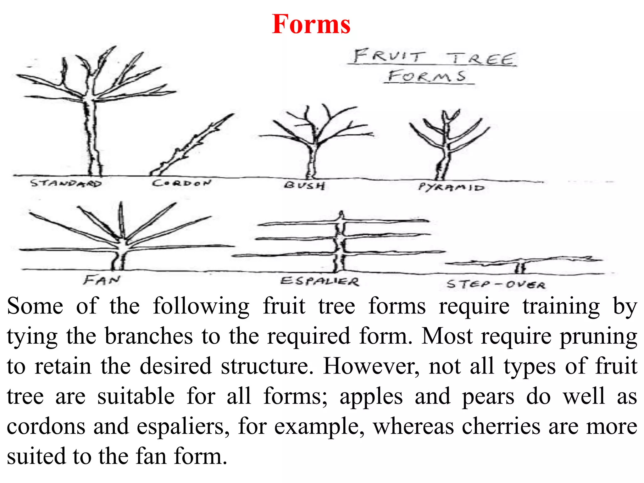 Canopy types | PPTX