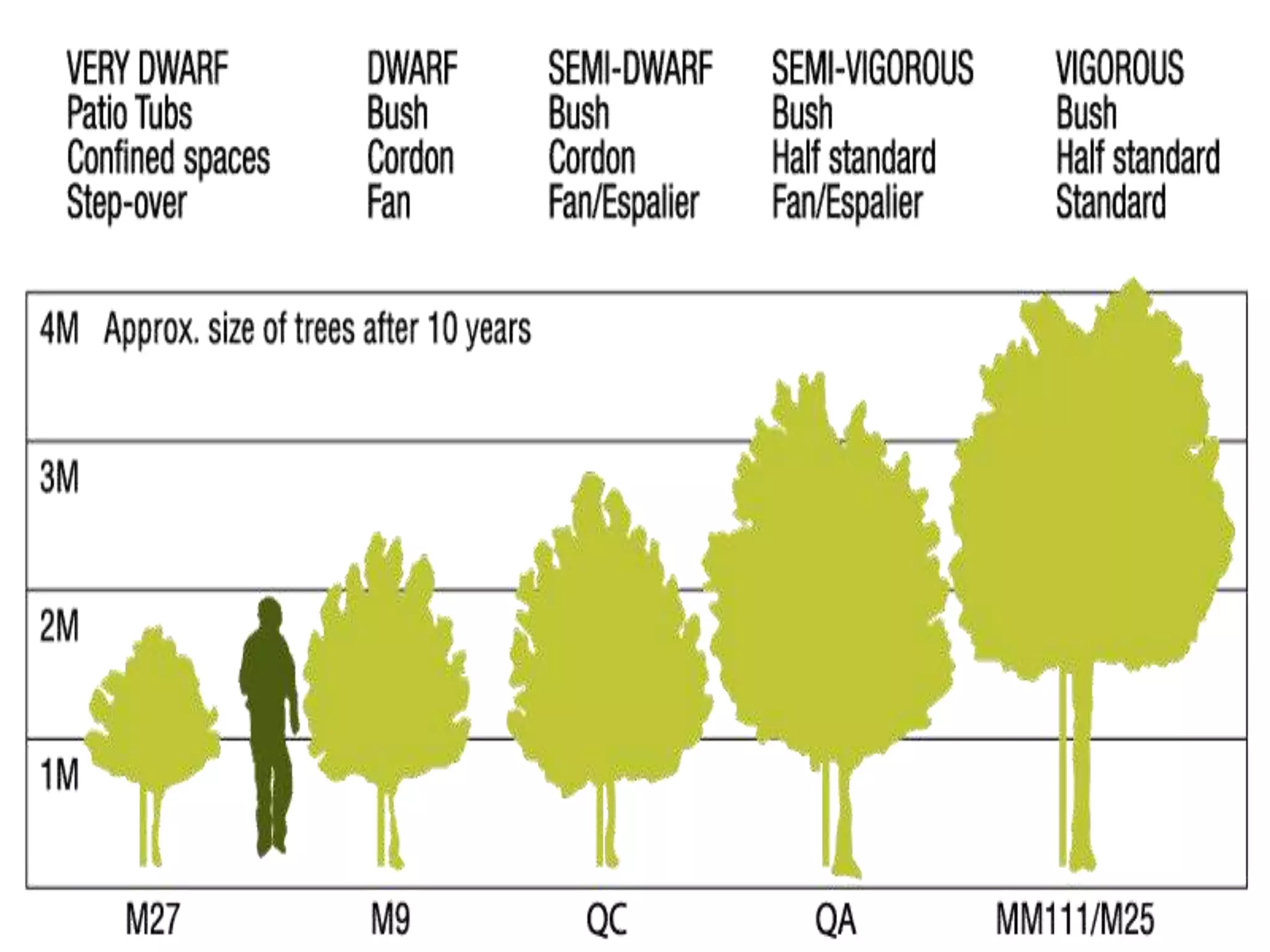 Canopy types | PPTX