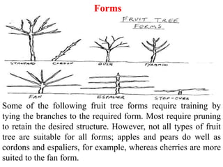 Canopy types | PPTX