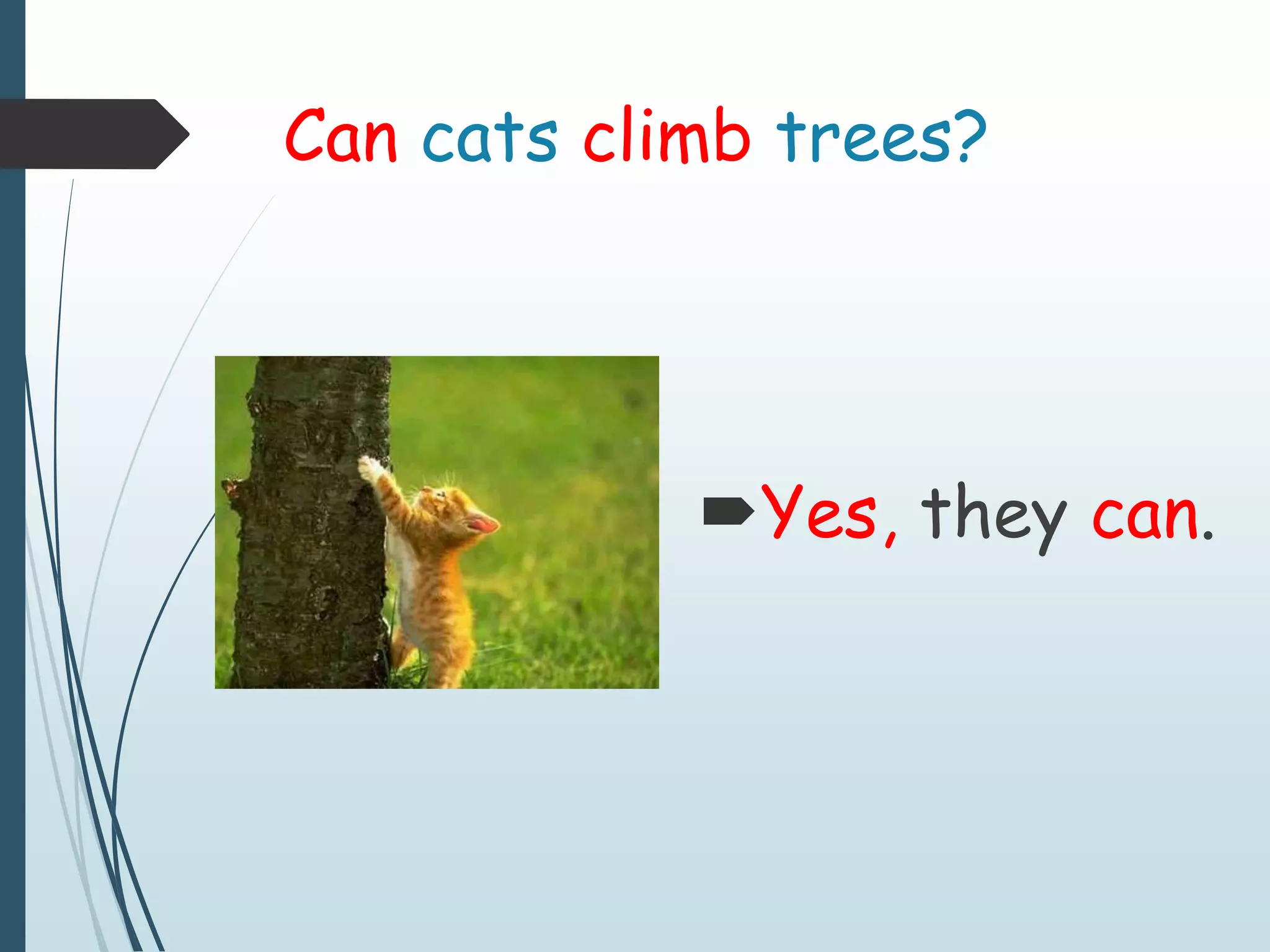 3 básicos Uso de "Can or can't" | PPTX