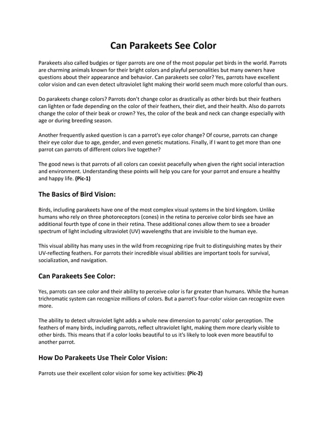 Can Parakeets See Color: Basics of Bird Vision | PDF