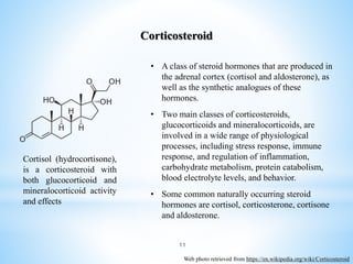 Can Peng Chapter 7 Presentation final draft | PPT