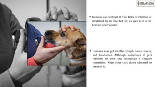 Can Pet Diseases be Contagious to Humans | PPT