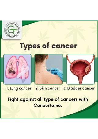 Cancertame: Your Natural Ally in Cancer Care. | PDF
