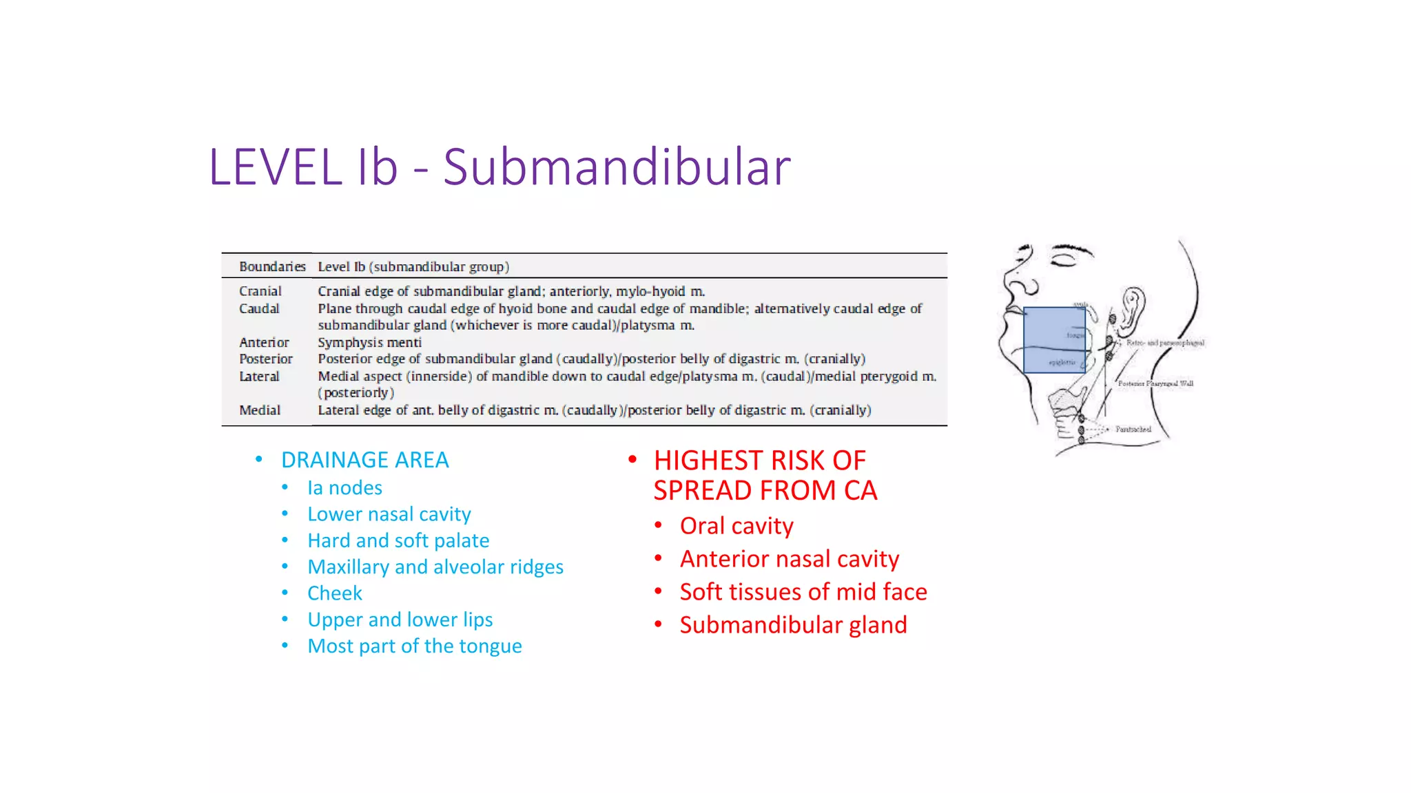 Ca Nasopharynx contouring.pptx