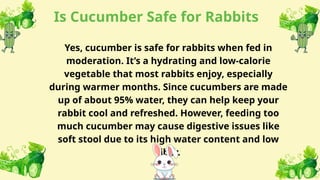 Can Rabbits Eat Cucumber? A Complete Guide | PPTX