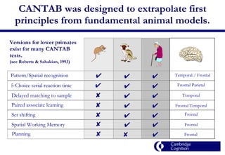 Cantab Test Review | PPT