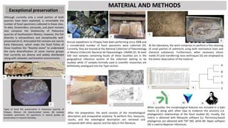 The importance of Paleocene fossil fishes from Southeastern Mexico to ...